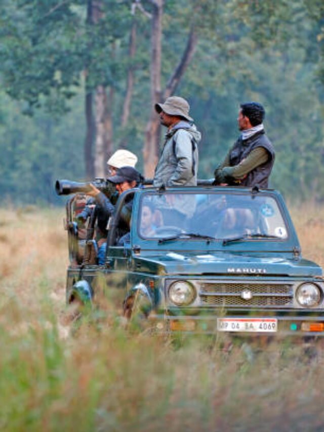Bhadra Wildlife Sanctuary: A Paradise for Wildlife Lovers - River Woods